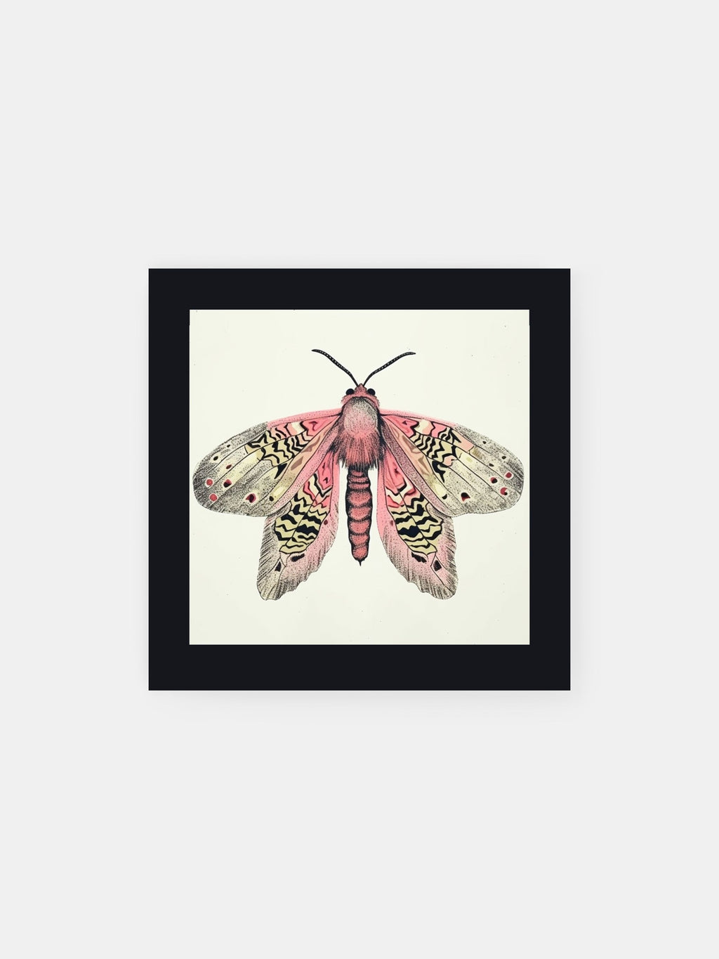 Detailed Moth Poster - Klumo Shop